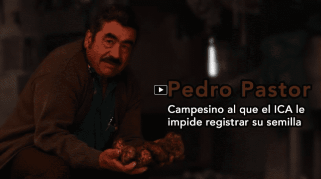 Conoce la historia de Don Pastor, el campesino al que el ICA no le ...